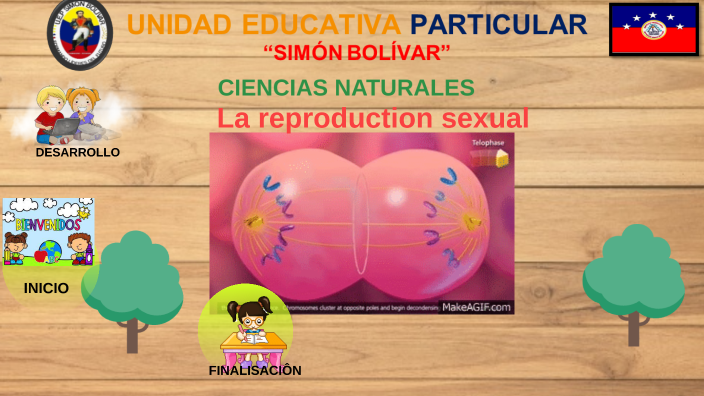 La reproducción sexual by Franklin Paredes on Prezi