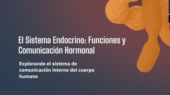 El Sistema Endocrino: Funciones y Comunicación Hormonal by Josan Perez ...