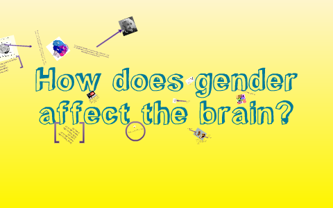 How does Gender Affect the Brain? by Danielle Comerford on Prezi