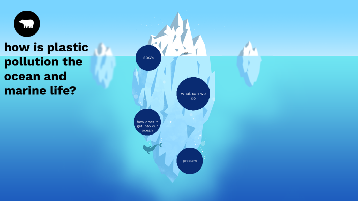 how is plastic pollution affecting the ocean and marine life by Caymin ...