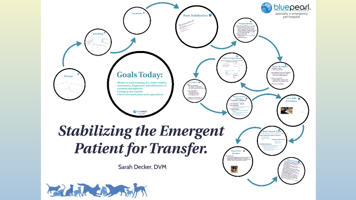 Stabilization for Emergent Transfer by Sarah Decker on Prezi