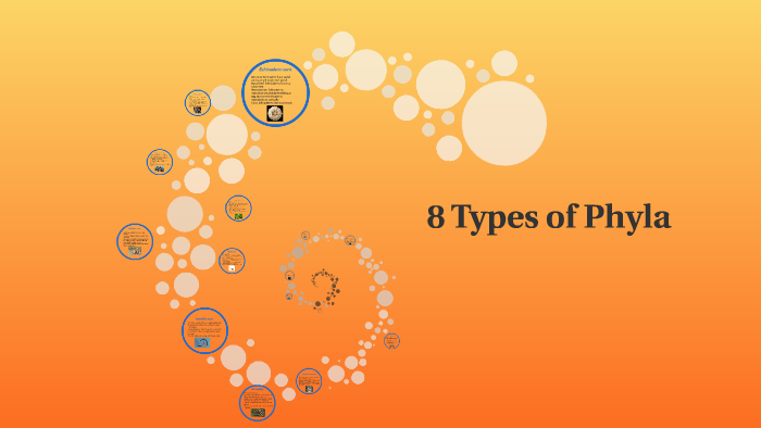 8 Types of Phyla by Alex Lopez on Prezi