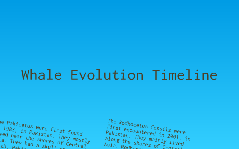 Whale Evolution Timeline by Kianna Martinez on Prezi