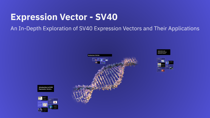 Expression Vector - SV40 by Varun Shinde on Prezi