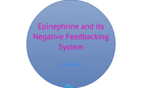Negative Feedbacking System: Epinephrine by Olivia Liemohn on Prezi