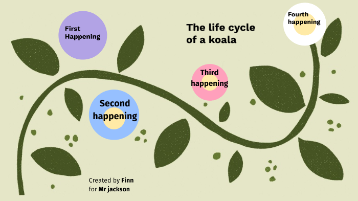 The life cycle of a koala by Party Pooper on Prezi