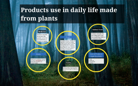 Products use in daily life made from plants by Mehak Sohail on Prezi
