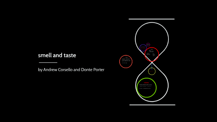 Five Senses by donte porter on Prezi