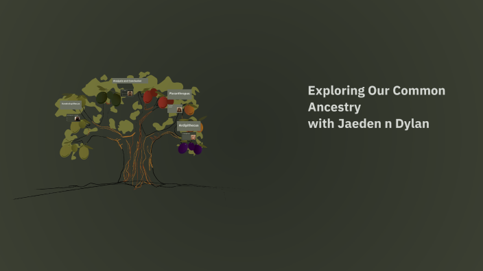 Exploring Our Common Ancestry by DS on Prezi