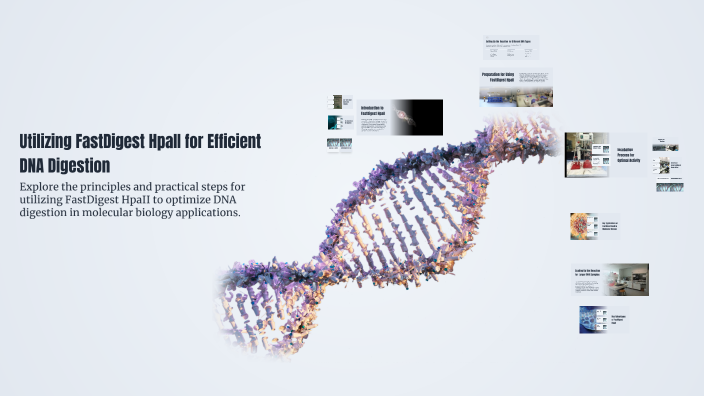 Utilizing FastDigest HpaII for Efficient DNA Digestion by Ammara Khan ...