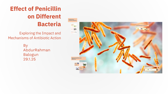 Effect of Penicillin on Different Bacteria by Abdurrahman Balogun on Prezi