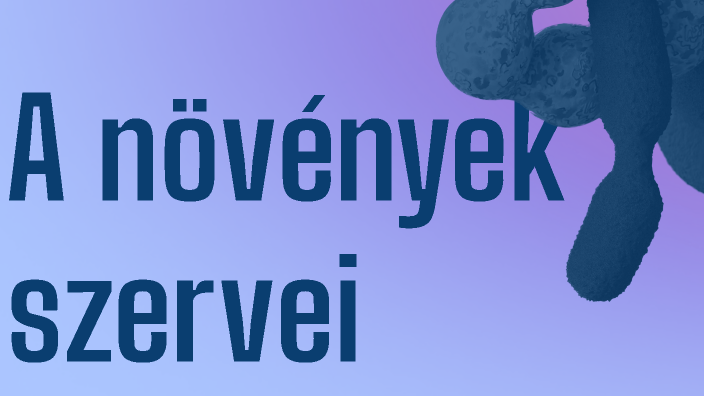 A növények szervei by Nikolett Szabó on Prezi