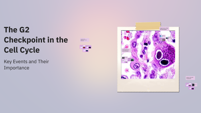 The G2 Checkpoint in the Cell Cycle by Hilary Grace Elmundo on Prezi
