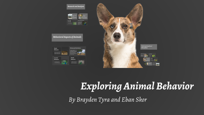 Exploring Animal Behavior by Brayden Tyra on Prezi