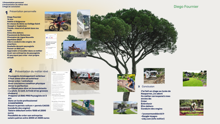 Présentation projet moi by diego i need more bouillet fournier on Prezi