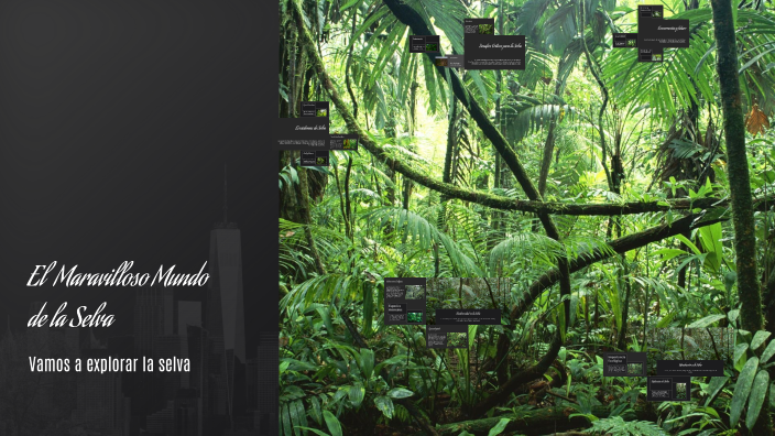 El Maravilloso Mundo de la Selva by Andrea Isabella Cruz Quezada on Prezi