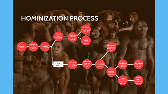 HOMINIZATION PROCESS by Mafe Huerfano on Prezi