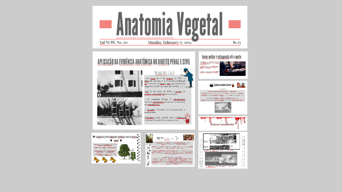 Anatomia Vegetal by Lorena Loiola on Prezi