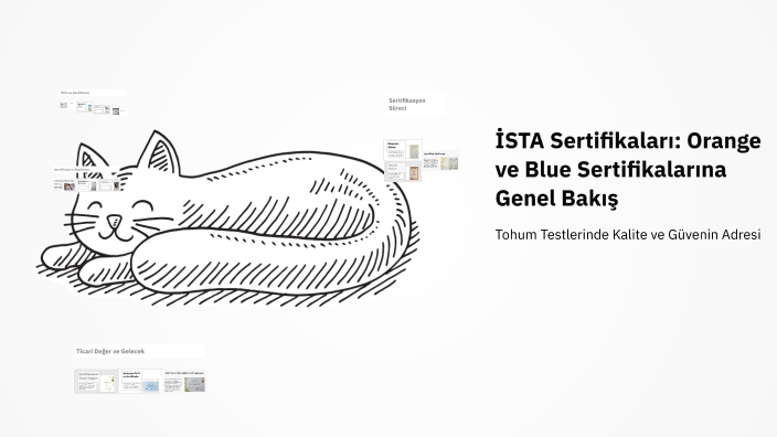İSTA Sertifikaları: Orange ve Blue Sertifikalarına Genel Bakış by Ruso ...