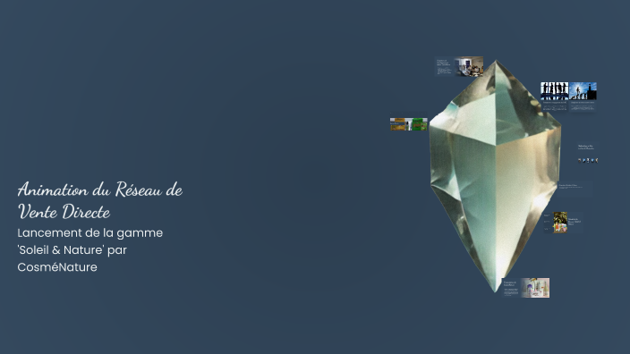 Animation du Réseau de Vente Directe by Paul Cabau on Prezi