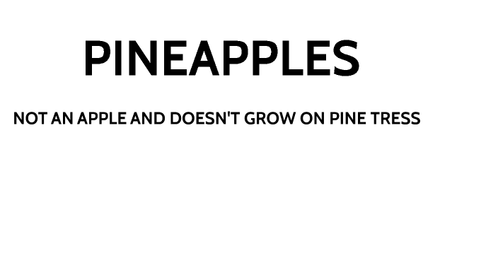 practice by Isabella Janero on Prezi