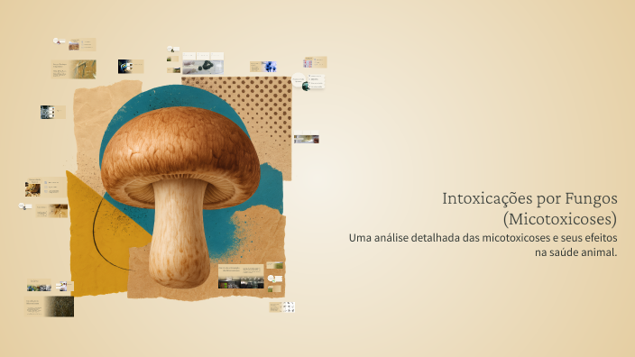 Intoxicações por Fungos (Micotoxicoses) by Maria Klochinski on Prezi