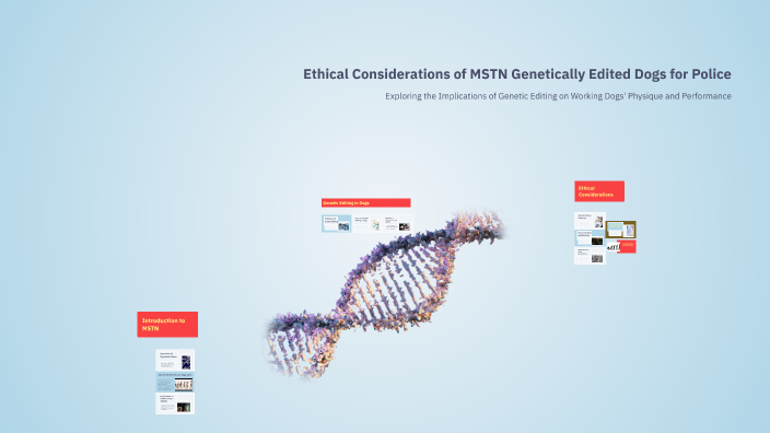 Ethical Considerations of MSTN Genetically Edited Dogs for Police by ...
