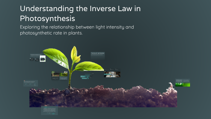 Understanding the Inverse Law in Photosynthesis by R Juby on Prezi