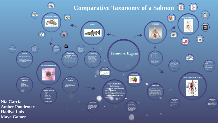 Comparative Taxonomy of a Salmon by Nia Garcia on Prezi