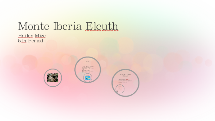 Monte Iberia Eleuth by Hailey Mize