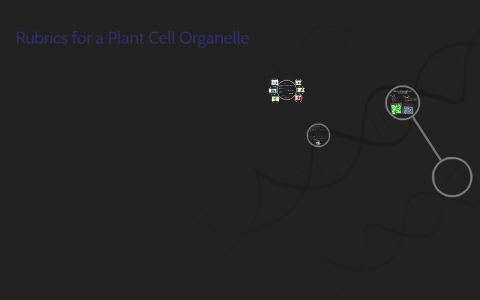 Rubrics for a Cell Organelle by nichelle craft