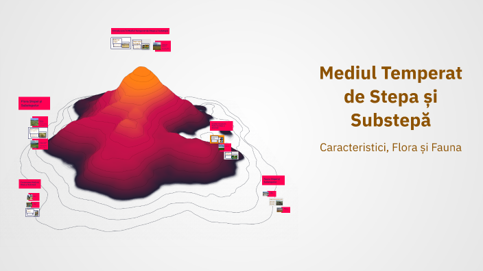 Mediul Temperat de Stepa și Substepă by Angelo Netedu on Prezi