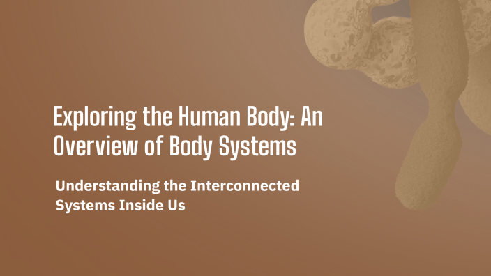 Exploring the Human Body: An Overview of Body Systems by Shelton sortie ...