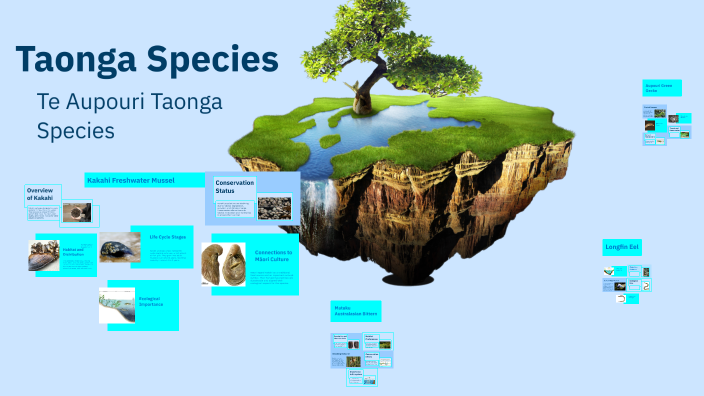 Taonga Species by Matiu Murray on Prezi