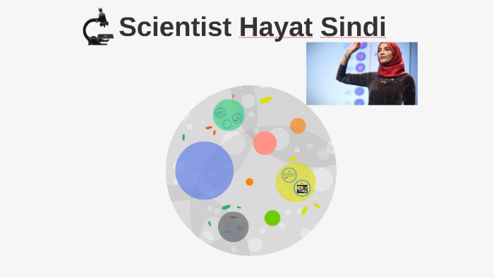 Scientist Hayat Sindi by Modi Albaiti on Prezi