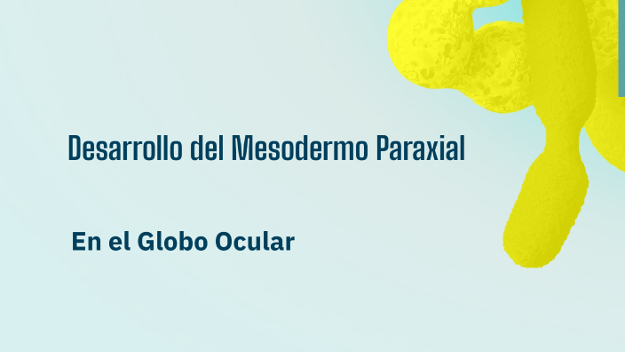 Desarrollo del Mesodermo Paraxial by karina giron on Prezi