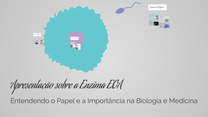 Apresentação sobre a Enzima ECA by Luiza Vicente de Araújo on Prezi