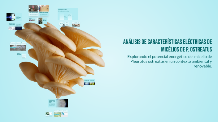 Análisis de características eléctricas de micélios de P. ostreatus by ...