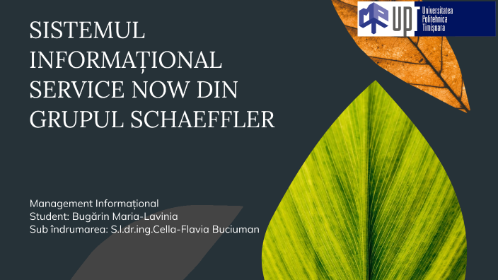 Proiect MI by Lavinia Bugărin on Prezi