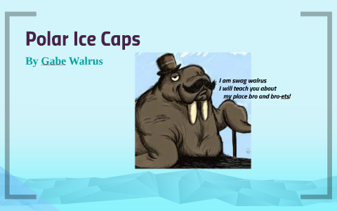 Polar Ice Caps by Mike Filipowicz on Prezi