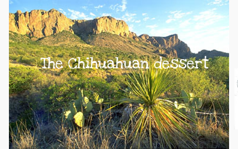 The Chihuahuan Desert Biome by Hope Chellman on Prezi
