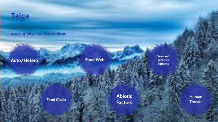 taiga biome project assignment task by JORGE DUENES on Prezi