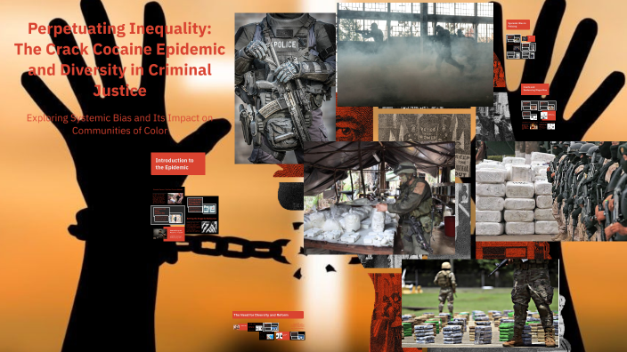 Perpetuating Inequality: The Crack Cocaine Epidemic and Diversity in ...
