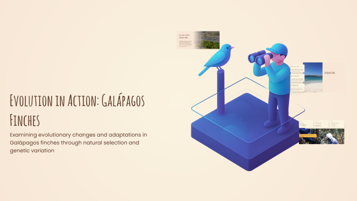 Evolution in Action: Galápagos Finches by Amna Gragg on Prezi
