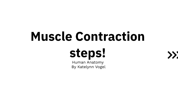 Muscle Contraction steps! by kate vogel on Prezi