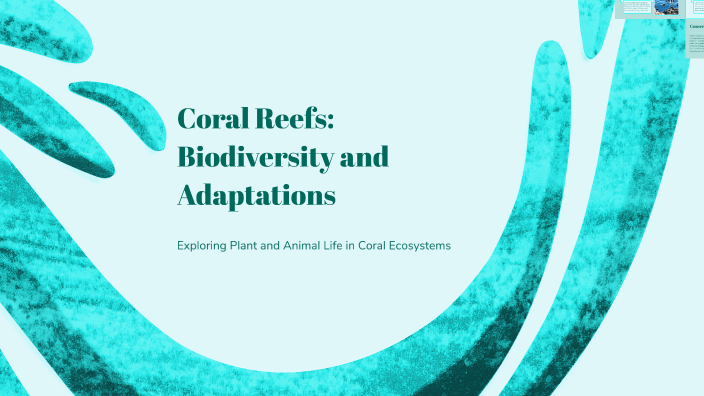 Coral Reefs: Biodiversity and Adaptations by on Prezi