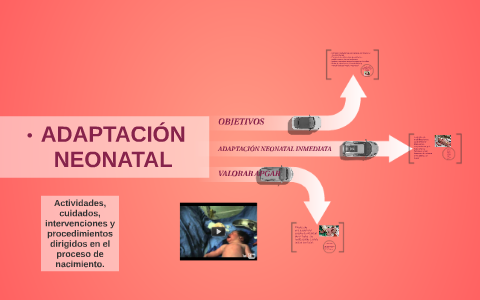 ADAPTACION NEONATAL by katherine restrepo on Prezi