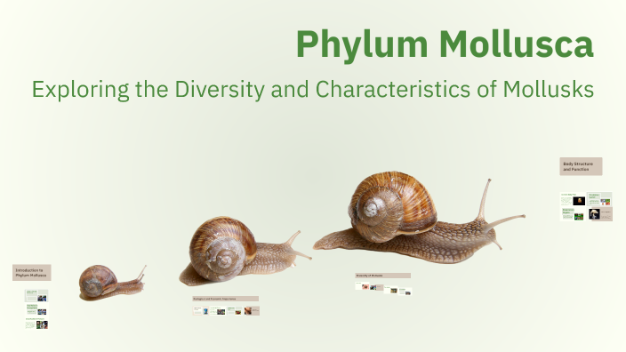 Phylum Mollusca by Danica Tonizol on Prezi
