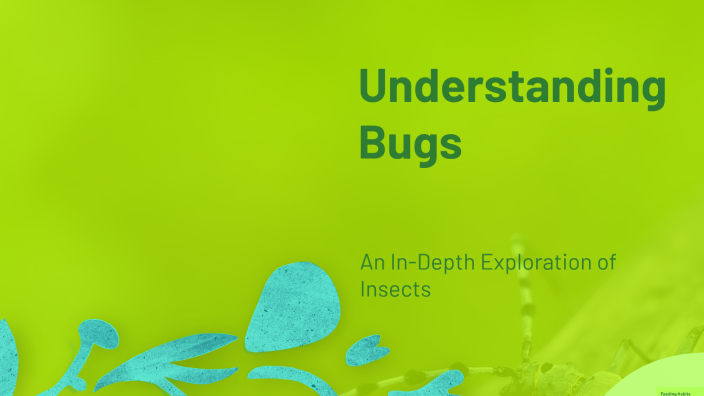 Understanding Bugs by spencer Alejo on Prezi