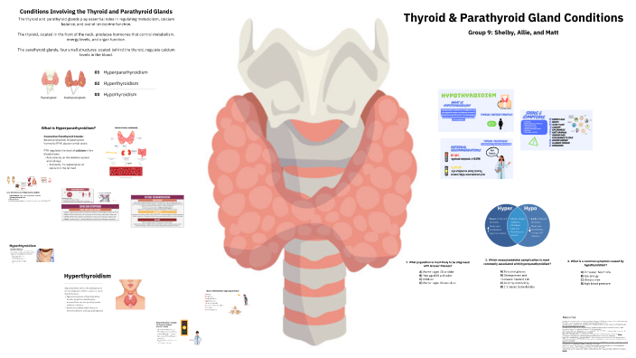 Thyroid/Parathyroid Conditions by Shelby Lutz on Prezi